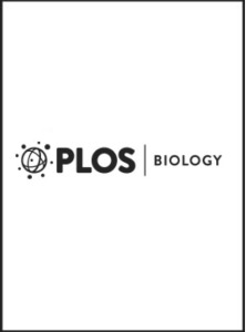 Plos biolgy cover - PiperLab