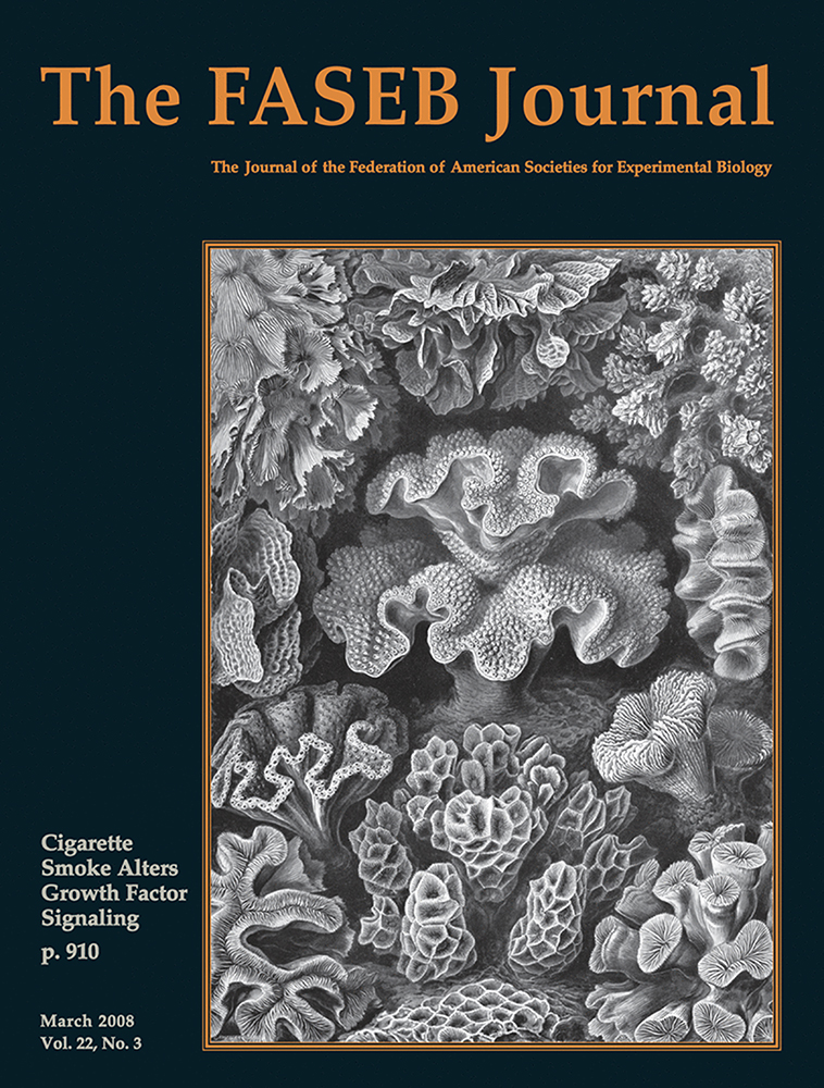 fsb2.v22.3.cover - PiperLab