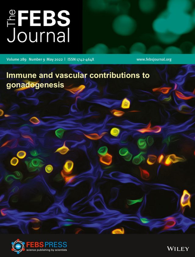 Publications - PiperLab